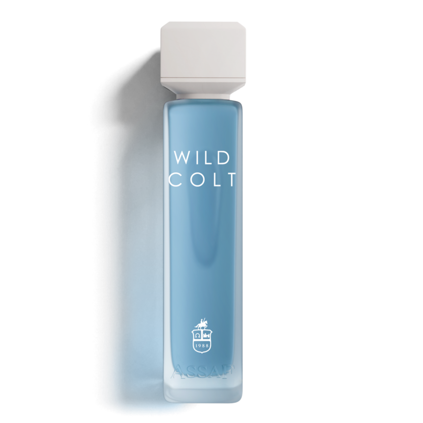 Assaf Wild Colt Eau De Parfum For Unisex -Oriental Woody Perfume 200ml ...