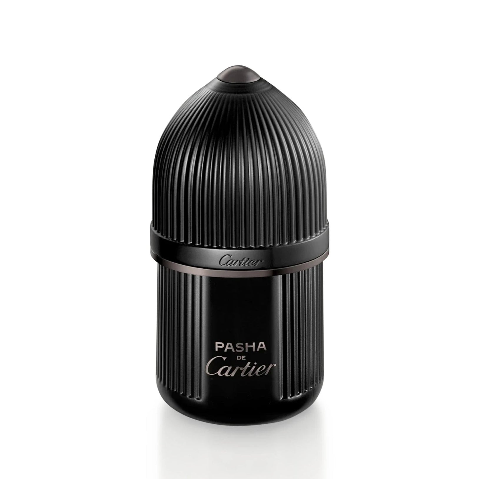 Cartier Pasha De Cartier Noir Absolu Perfume For Men Parfum 50ml ...